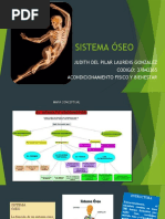 Mapa Conceptual Moises | PDF | Articulación | Sistema musculoesquelético humano