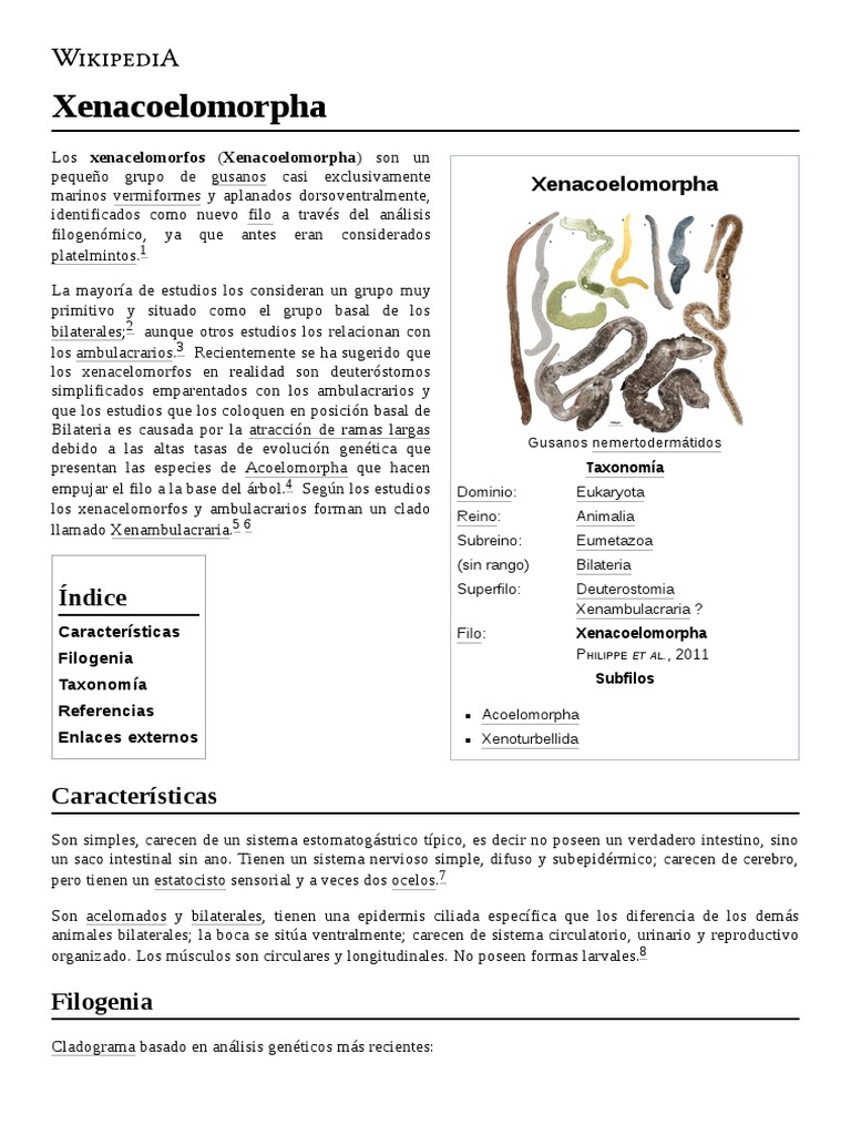 Xenacoelomorpha | PDF | Taxa | Organismos