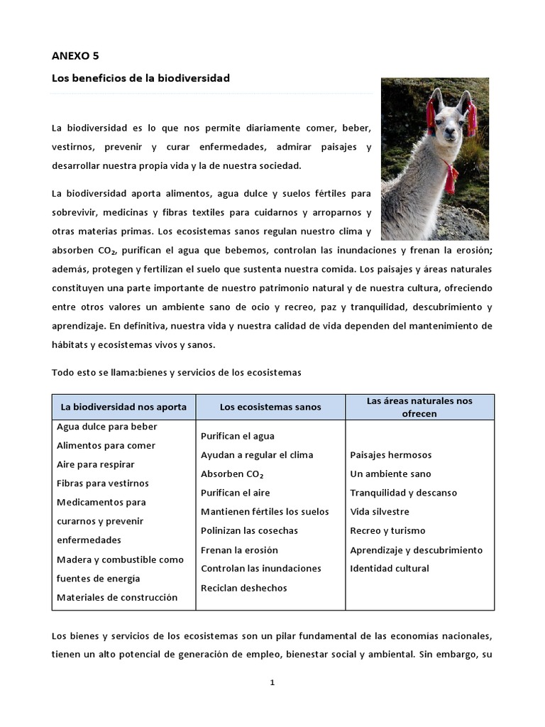 EPT S2 Anexo 5 | PDF | Biodiversidad | Entorno natural