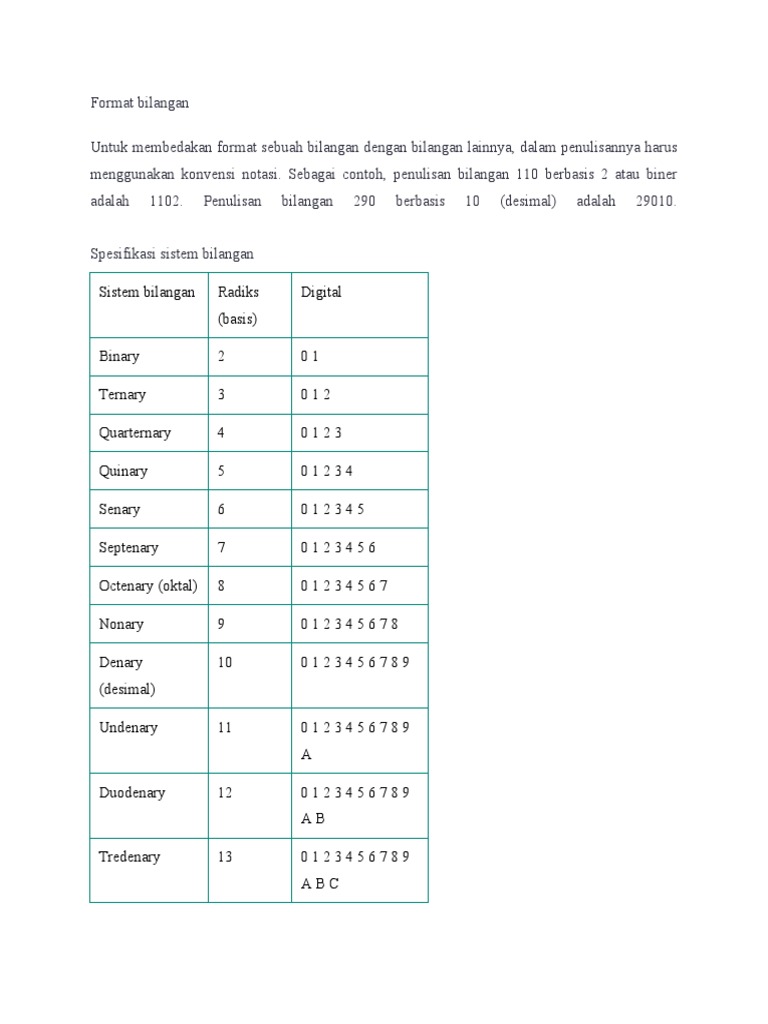 Format Bilangan Dan Data Komputer | PDF