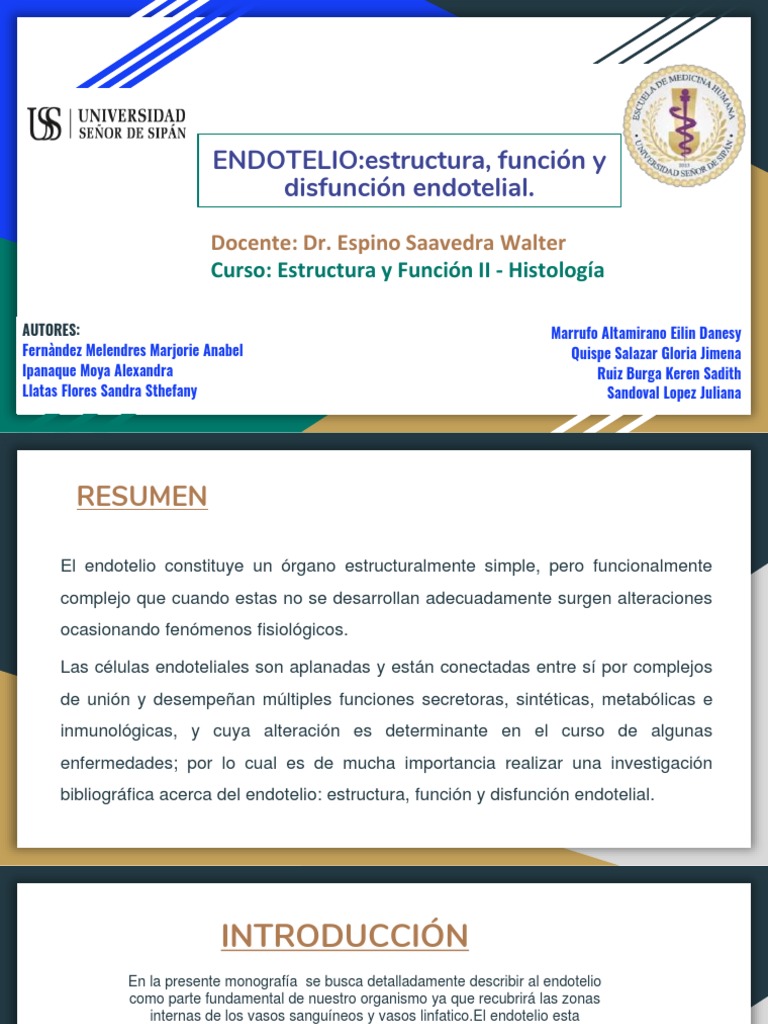 Endotelio Diapositivas Pdf Pdf Endotelio Inflamación