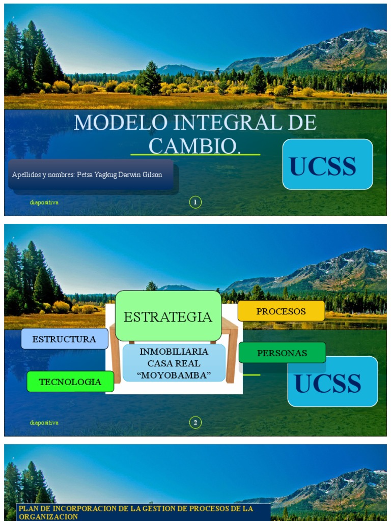 Modelo Integral de Cambio | PDF