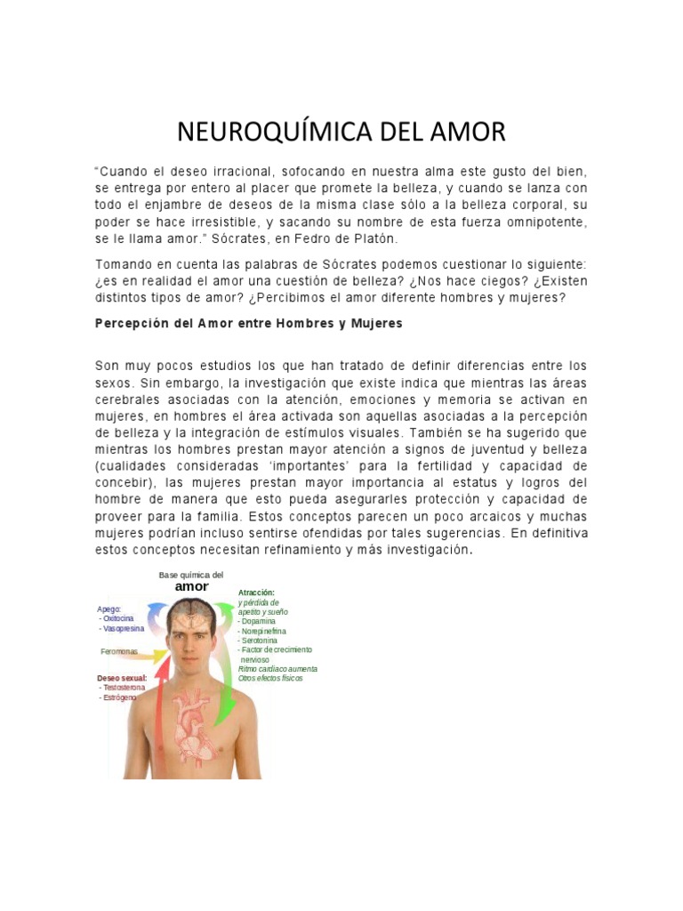 Neuroquímica Del Amor | PDF | Dopamina | Serotonina