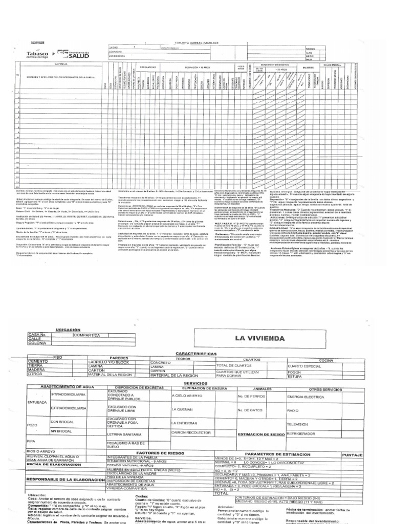 Formato de Tarjeta Censal Familiar y de La Vivienda | PDF