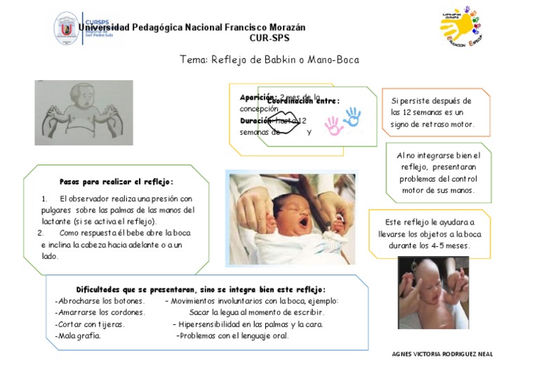 06 Hoja Resumen Reflejo de Babkin | PDF