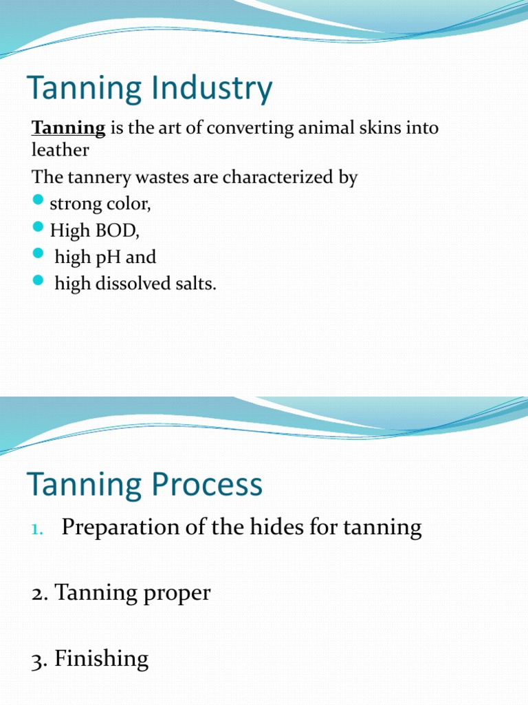 Tanning Industry: Tanning Is The Art of Converting Animal Skins Into ...