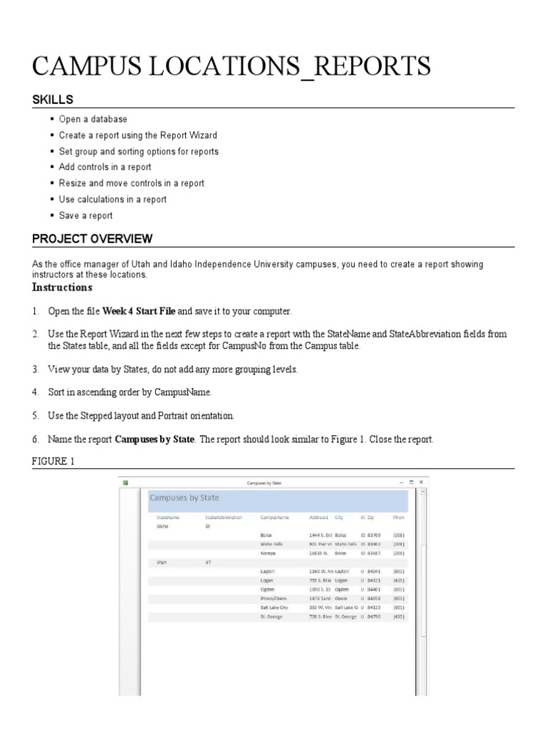 Campus Instructors Report Guide | PDF