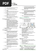 Midwifery Case Study: Normal Delivery | PDF | Childbirth | Pelvis