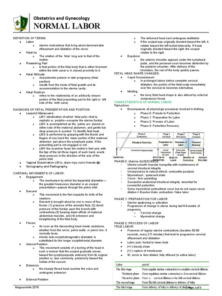 The Stages and Mechanisms of Normal Labor and Delivery | PDF ...
