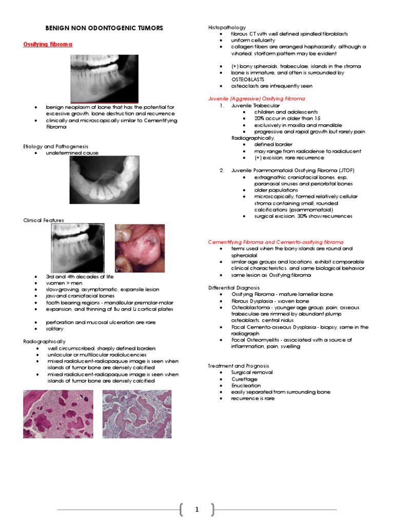 Benign Non Odontogenic Tumors: Ossifying Fibroma | PDF | Bone | Neoplasms