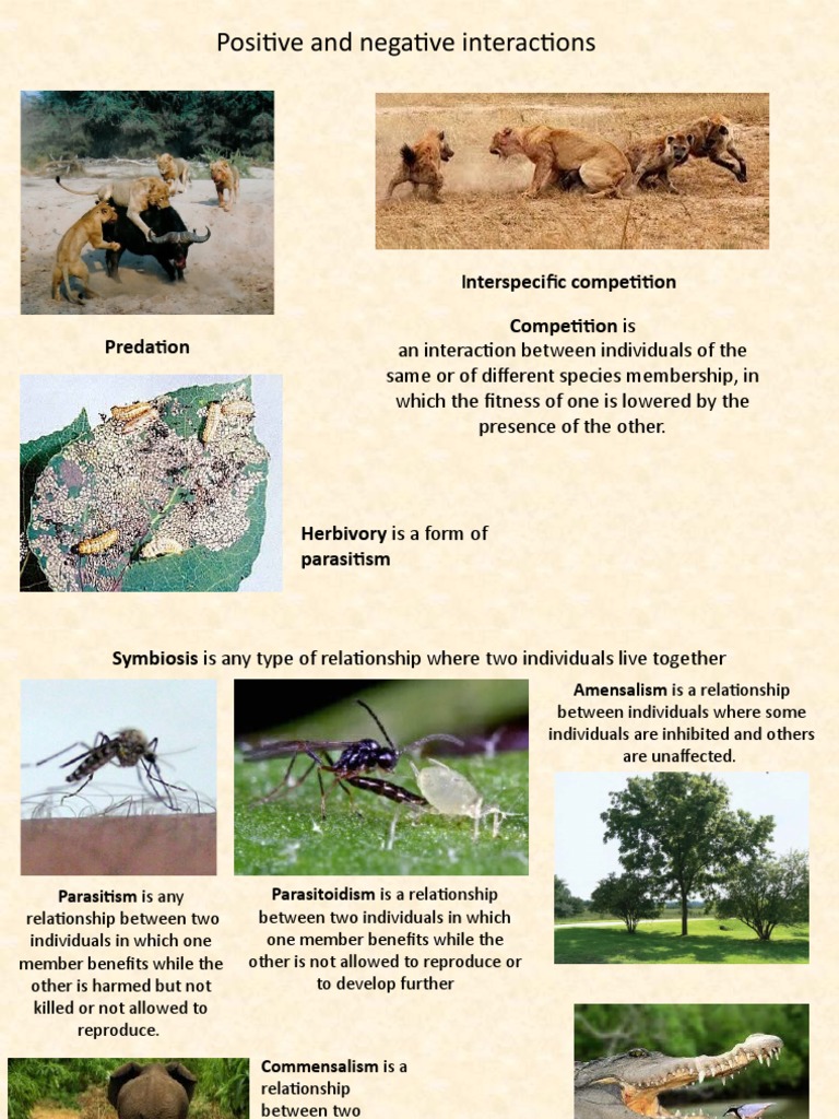 Positive and Negative Interactions: Predation Competition Is | PDF ...