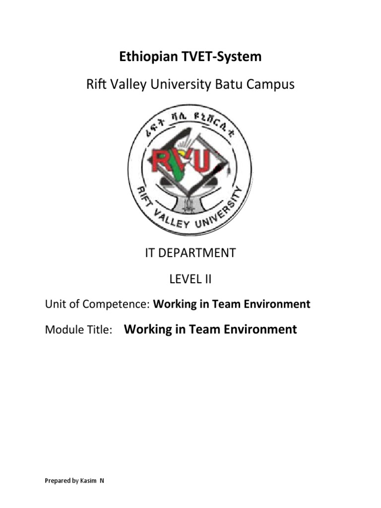 Working Together for Improvement: Describing Formal and Informal Team ...
