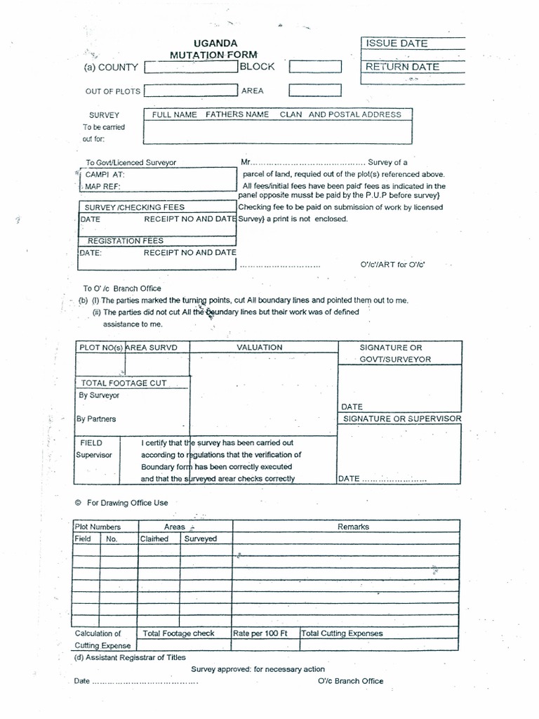 Mutation Form Pdf Pdf