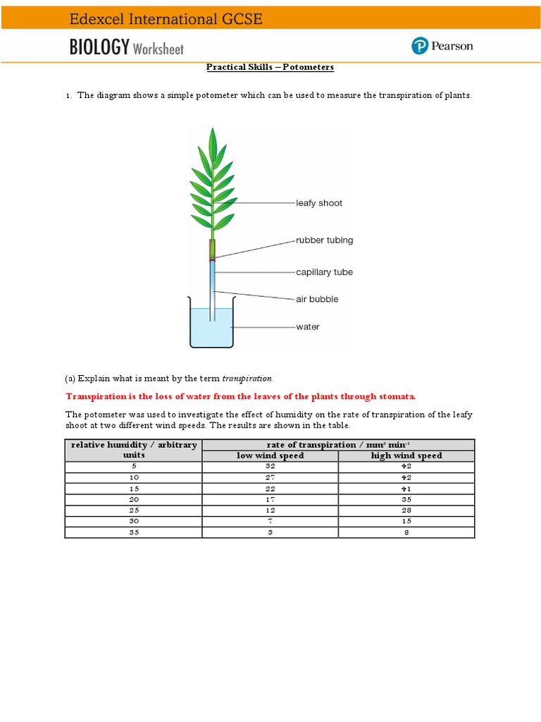 Measuring Plant Transpiration Using a Potometer | PDF | Stoma ...