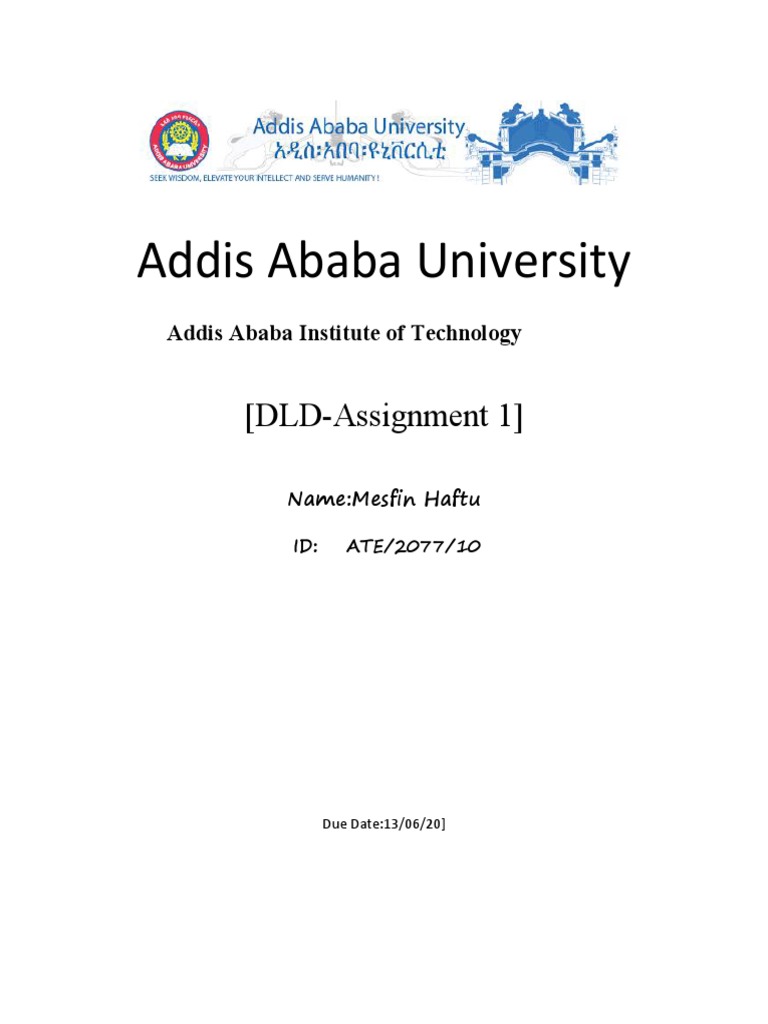 Addis Ababa University: (DLD-Assignment 1) | PDF | Disabled Sports | Electronic Engineering