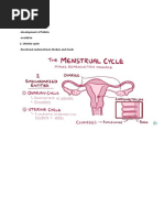 Menstrual Cycle Events Chart | PDF