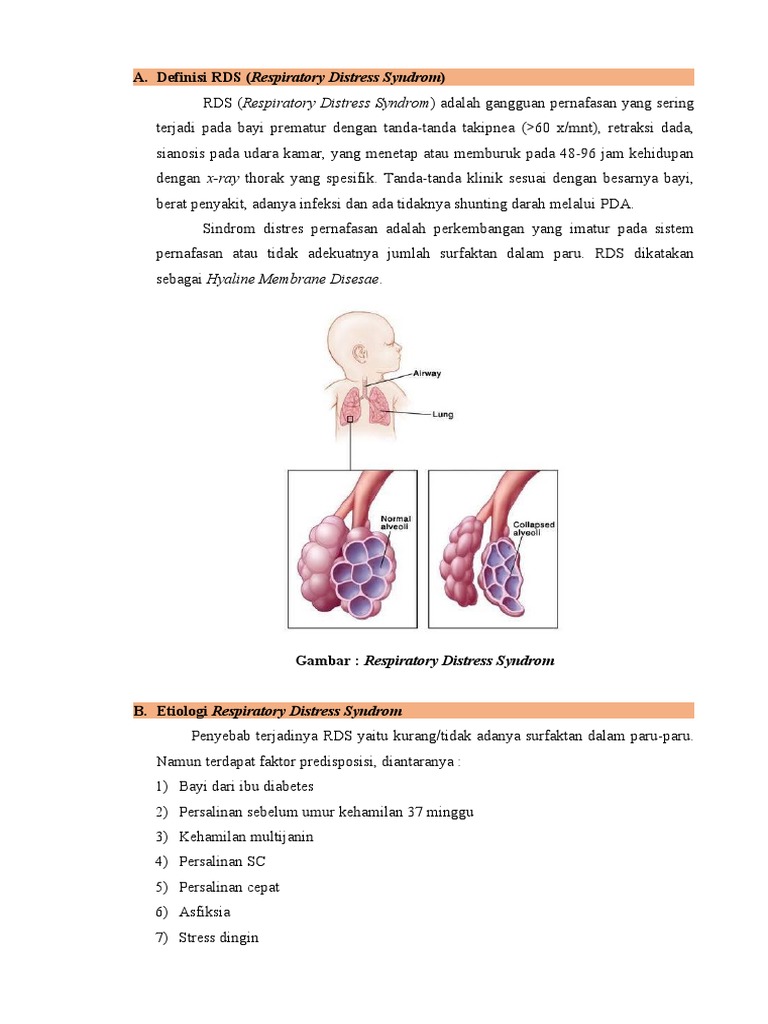 Laporan Pendahuluan Rds | PDF