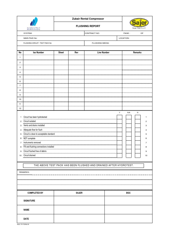Flushing Report for Engineers | PDF