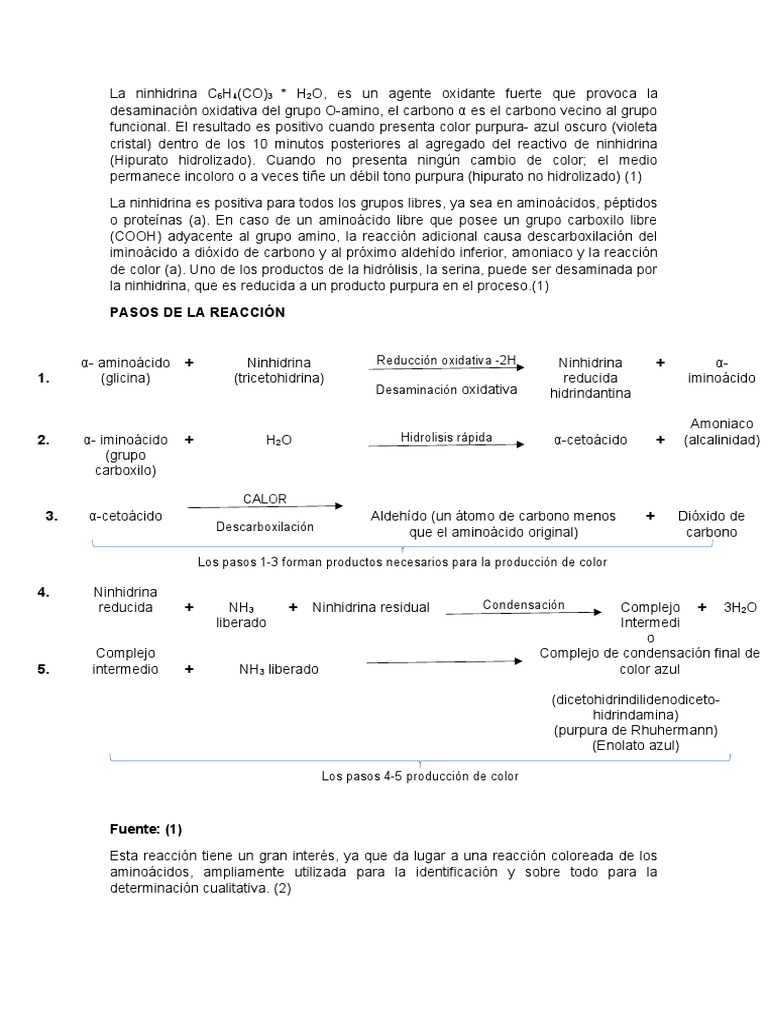 La Ninhidrina C6H4 | PDF | Aminoácidos | Péptido