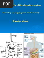 1-GIT Functional Anatomy of GIT - Dr. Gagare Dnyanesh | PDF | Human ...