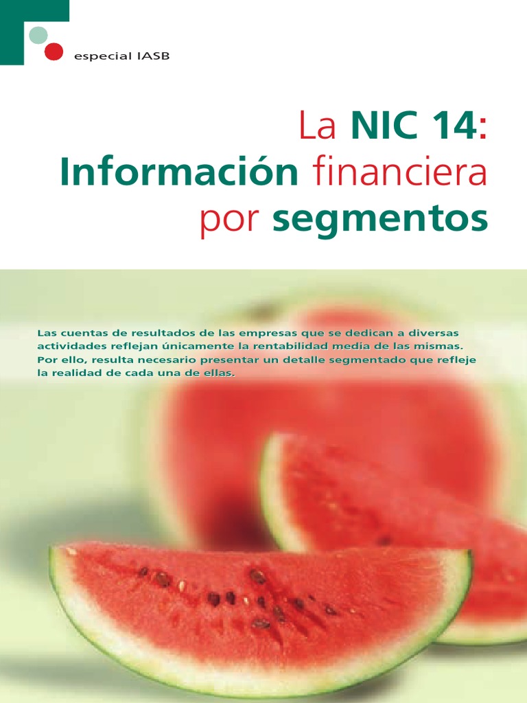 Nic 14 | PDF | Contabilidad | Inversiones