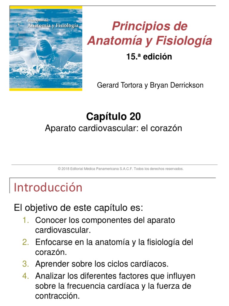 Capitulo 20 Aparato Cardiovascular Tortora | PDF | Corazón | Sistema ...