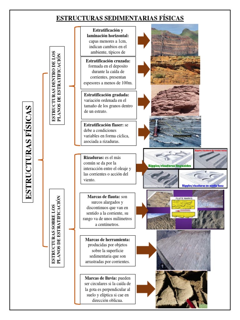 Estructuras Sedimentarias Físicas | PDF | Estrato | Roca sedimentaria