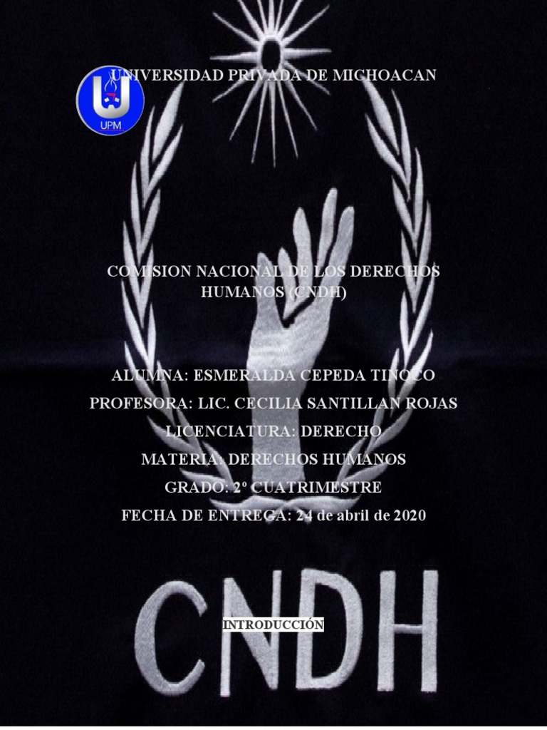 Funciones De La Cndh En México Pdf Derechos Humanos Gobierno