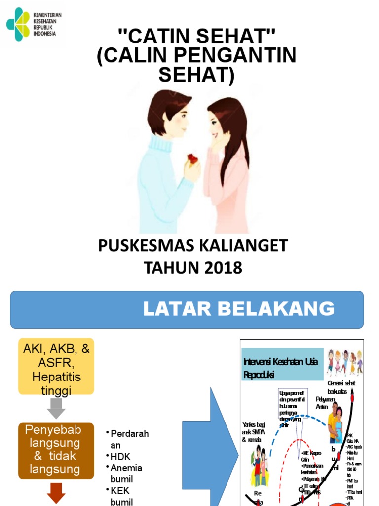 Sosialisasi Catin Sehat | PDF