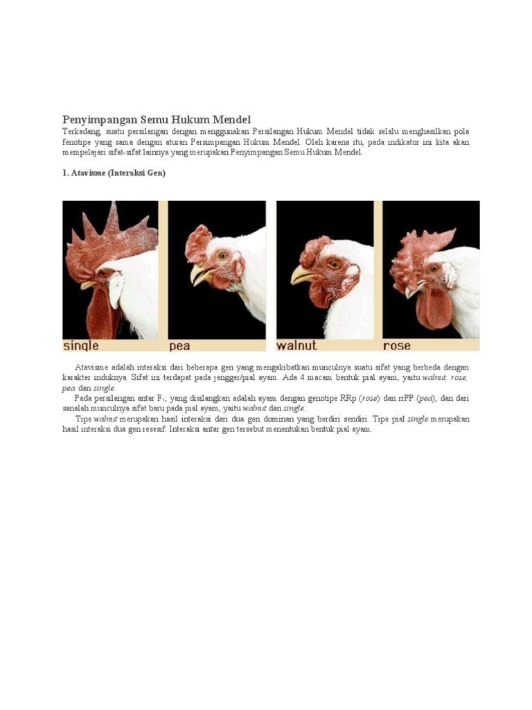 Contoh Soal Interaksi Gen | PDF