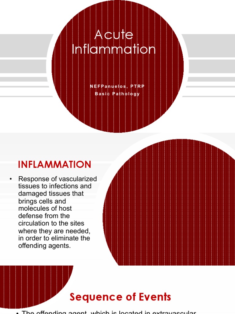Acute Inflammation | PDF | Inflammation | Blood Vessel