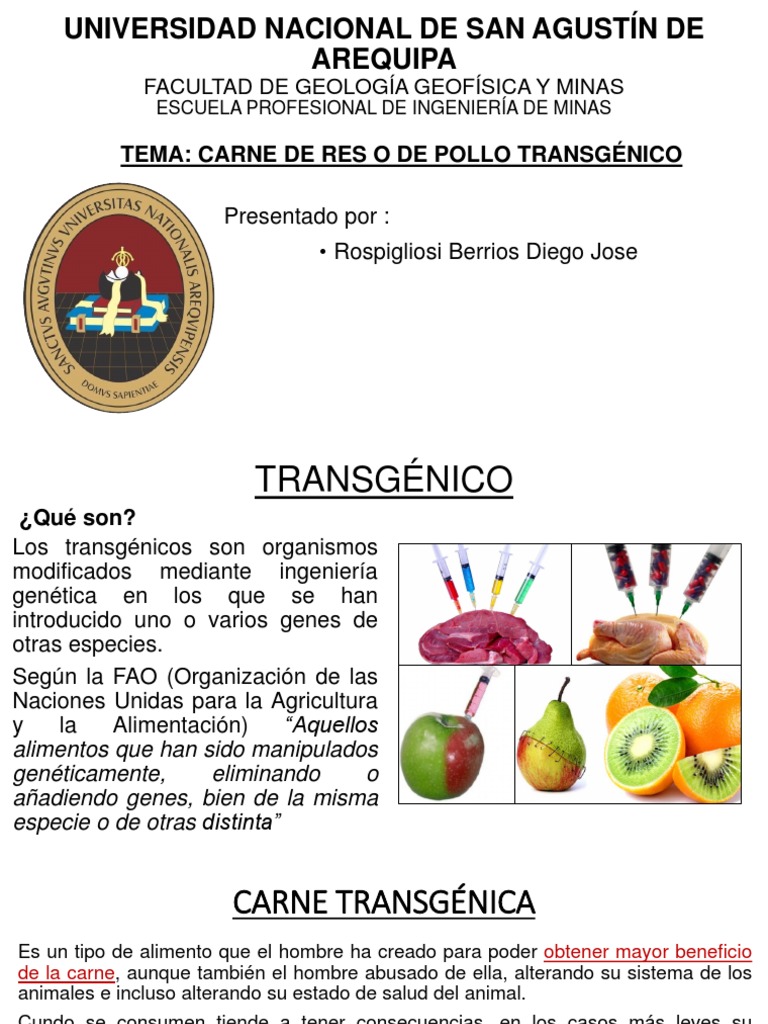 Carne de Res o Pollo Transgenico PDF | PDF