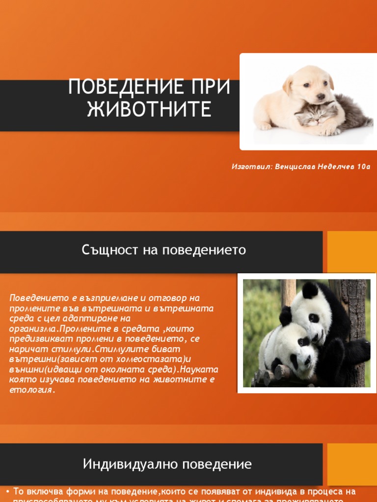ПОВЕДЕНИЕ ПРИ ЖИВОТНИТЕ Pdf