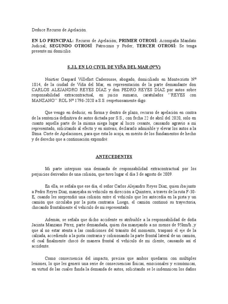 Modelo Recurso de Apelación | PDF | Daños y perjuicios | Ley común