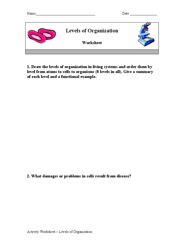 Act Sheet1 Levels | PDF | Technology & Engineering