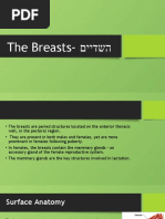 ACR BI-RADS® Atlas Fifth Edition | PDF | Mammography | Clinical Medicine