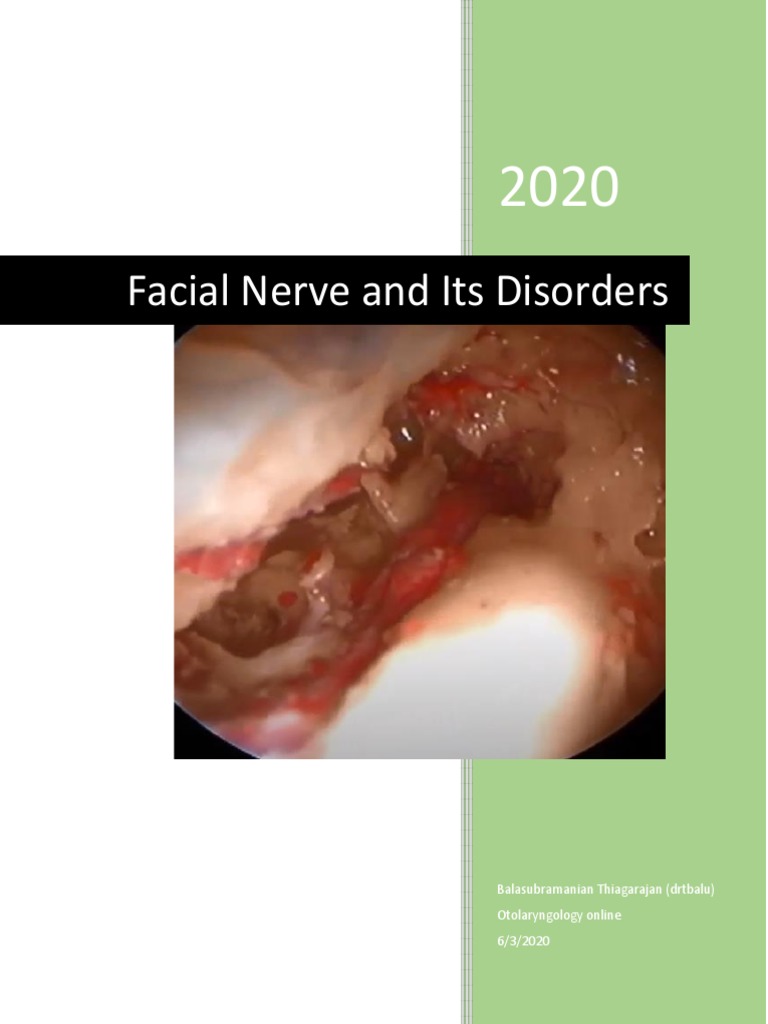 Facial Nerve and Its Disorders | PDF | Human Head And Neck | Neuroanatomy