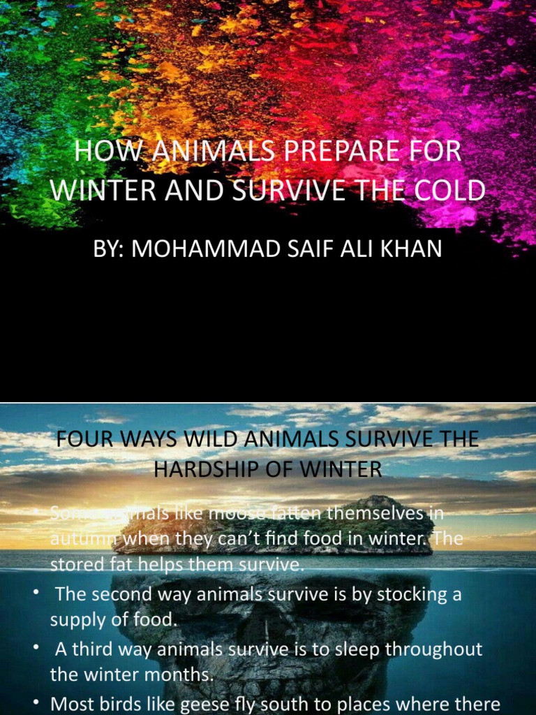 How Animals Prepare For Winter and Survive The | PDF | Moose | Foods