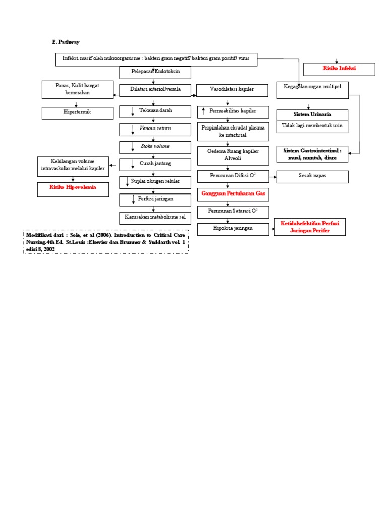 Pathway Syok Sepsis | PDF