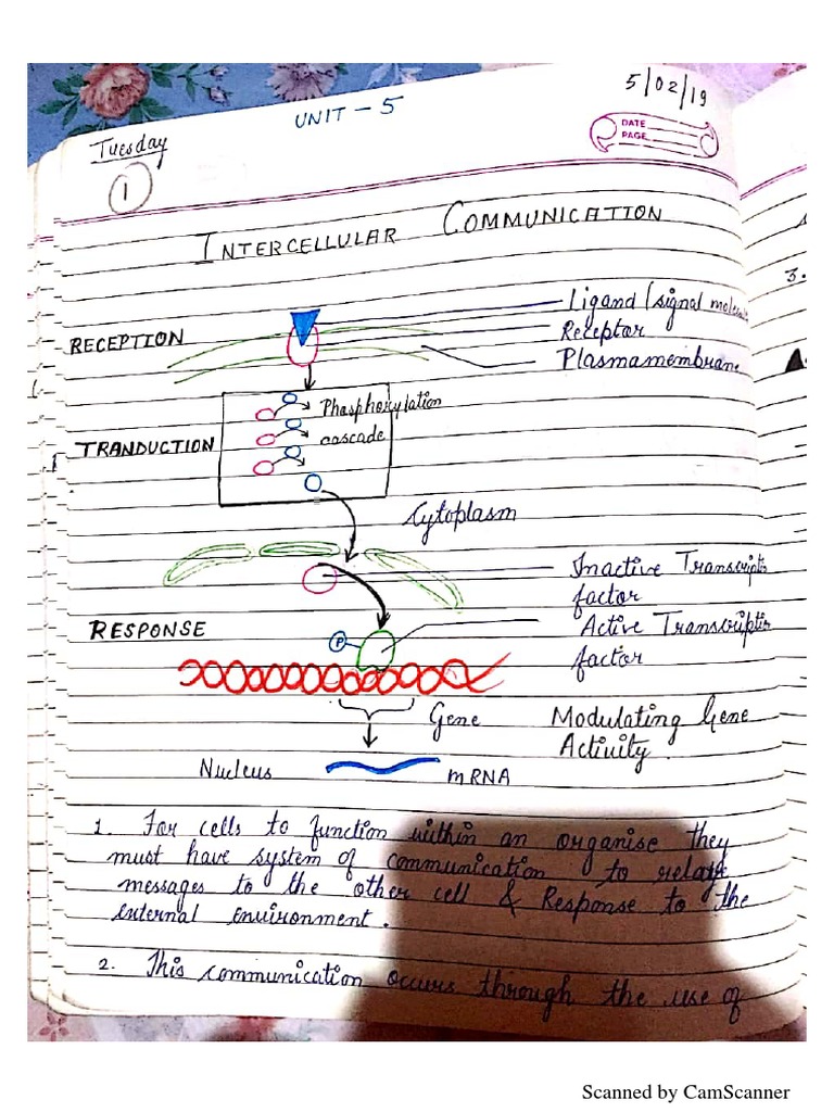 Zoology Notes Pdf Pdf