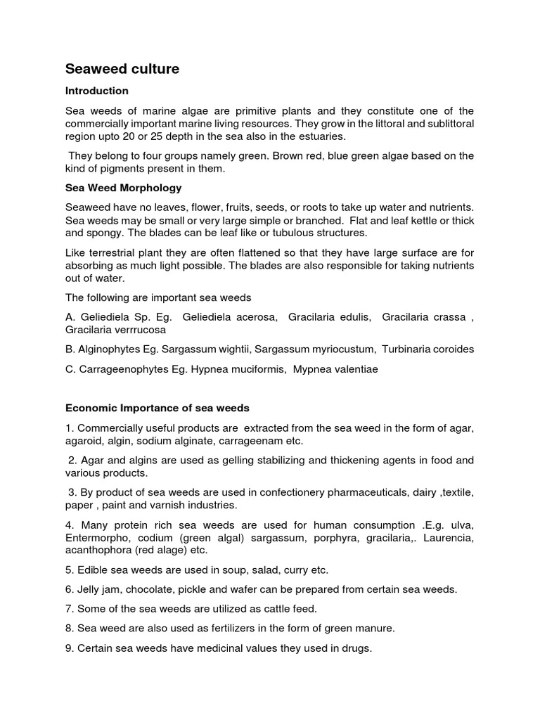 Seaweed Culture | PDF | Seaweed | Algae