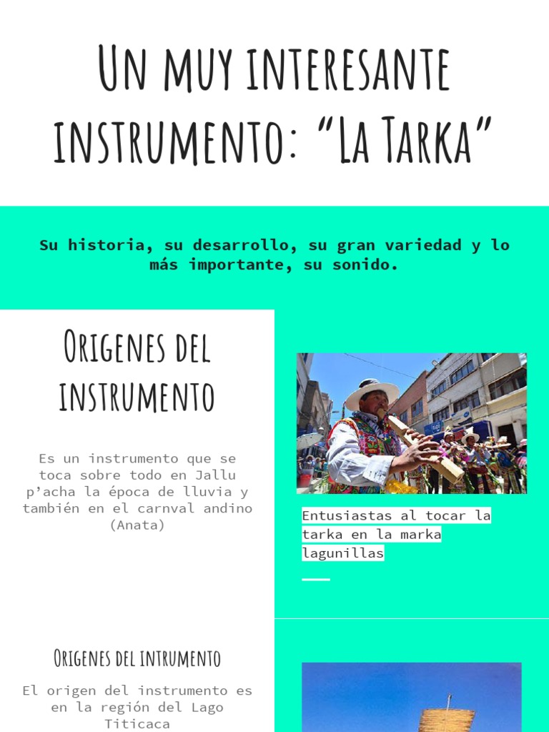 La Tarka - Gustavo Mamani 2do Música | PDF | Entretenimiento (general)