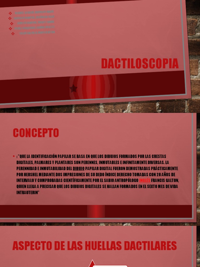 Dactiloscopia: Identificación Forense Efectiva | PDF | Huella dactilar ...