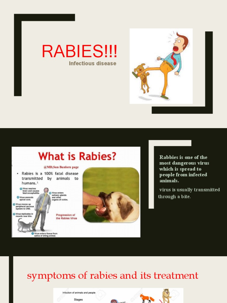 RABIES!!!: Infectious Disease | PDF