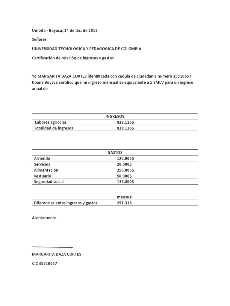 Relación de Ingresos y Gastos Mensuales | PDF