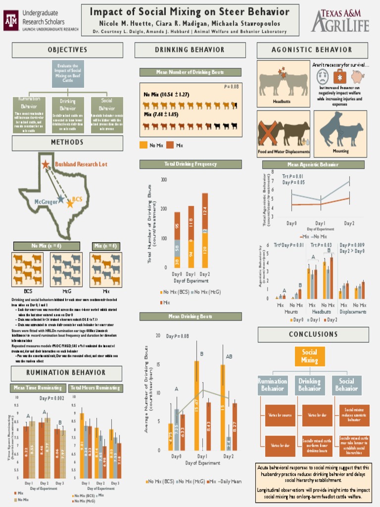Final Urs Poster | PDF | Cattle | Experiment