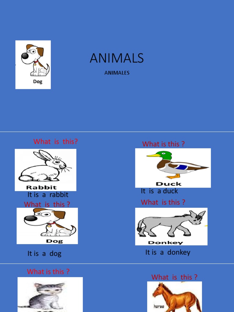 Animal Identification Guide | PDF