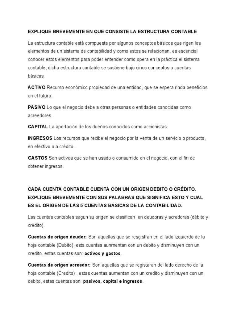 Explique Brevemente en Que Consiste La Estructura Contable | PDF