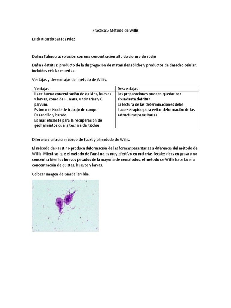 Ventajas y desventajas del método de Willis | PDF