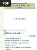 Practical Loss Control Leadership | PDF